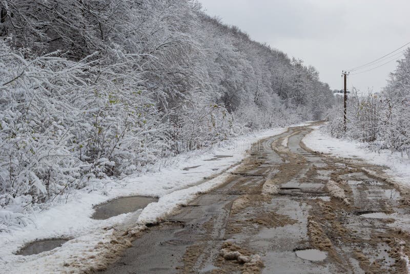 A Country Road through the Forest, a Wet Road with Snow Falling from ...