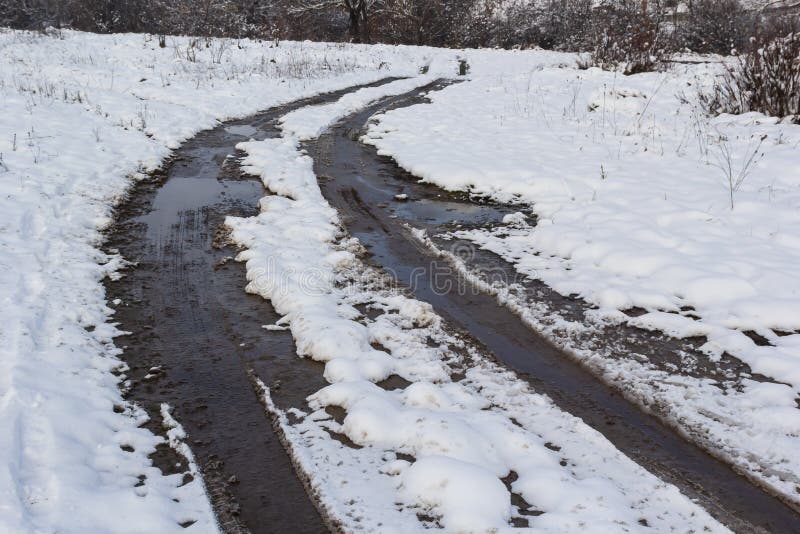 A Country Road through the Forest, a Wet Road with Snow Falling from ...