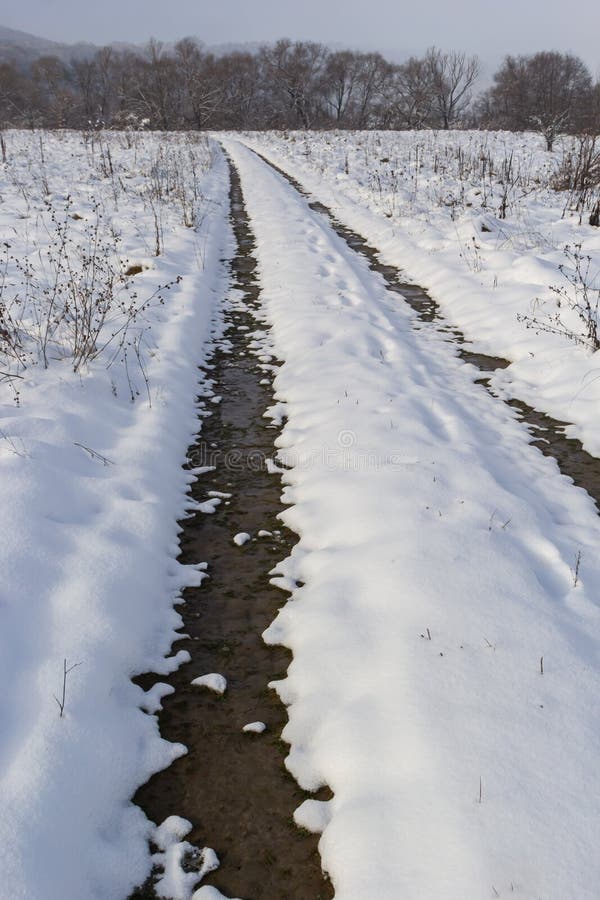 A Country Road through the Forest, a Wet Road with Snow Falling from ...