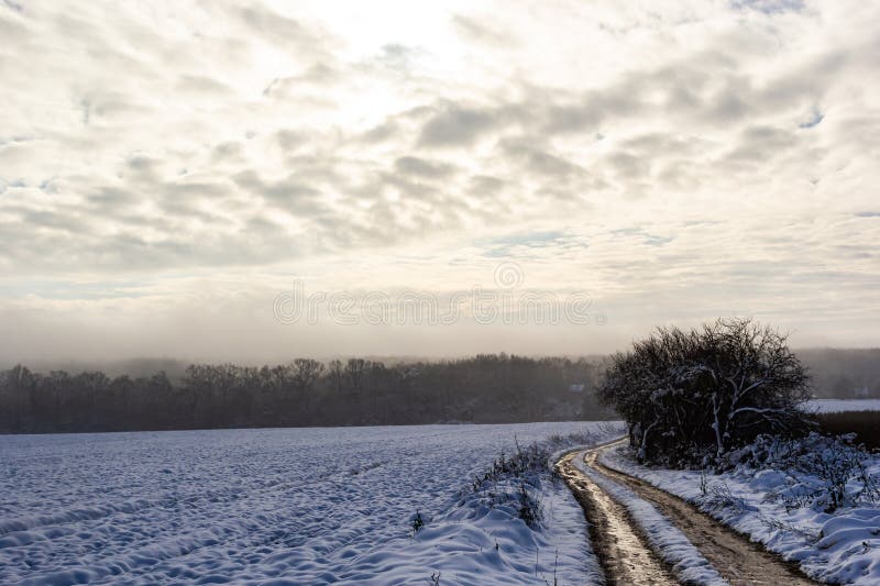 A Country Road through the Forest, a Wet Road with Snow Falling from ...