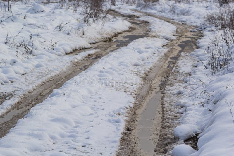 A Country Road through the Forest, a Wet Road with Snow Falling from ...