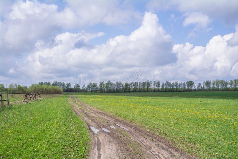 Country Road Goes into the Distance among Agricultural Fields Stock ...