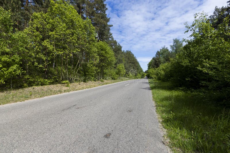 A Country Road of Good Quality in Spring in a Deciduous Forest Stock ...