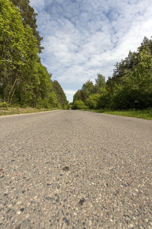 A Country Road of Good Quality in Spring in a Deciduous Forest Stock ...