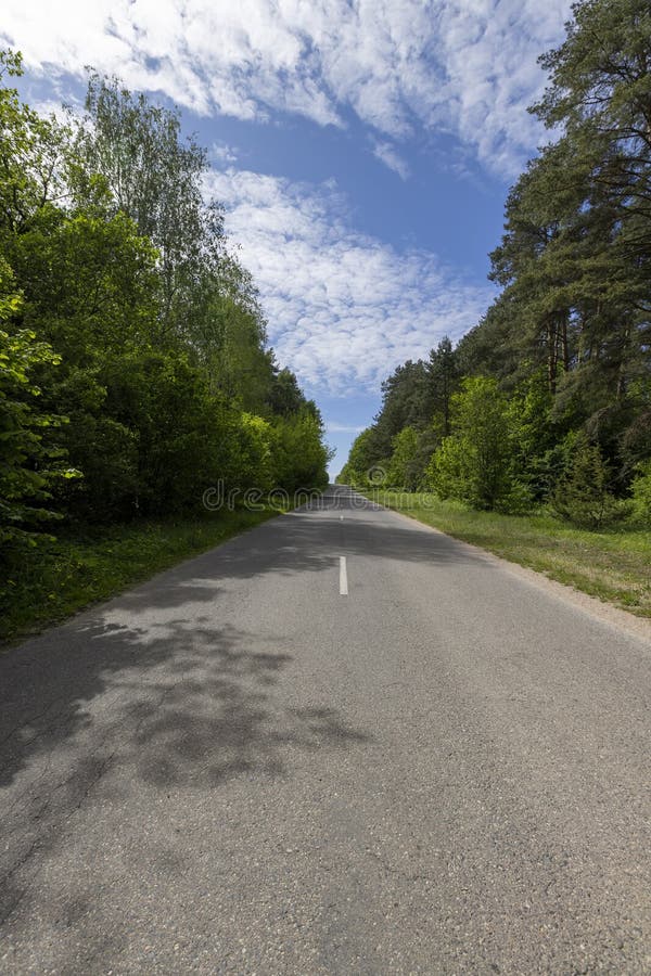 A Country Road of Good Quality in Spring in a Deciduous Forest Stock ...
