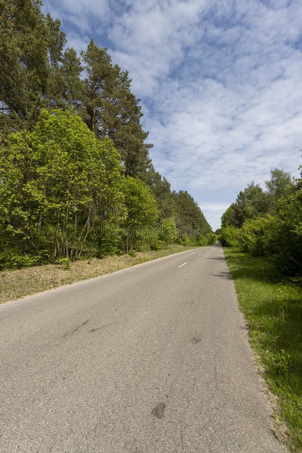 A Country Road of Good Quality in Spring in a Deciduous Forest Stock ...