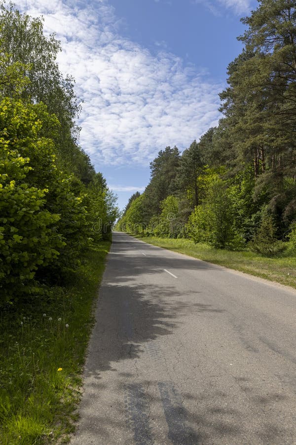 A Country Road of Good Quality in Spring in a Deciduous Forest Stock ...