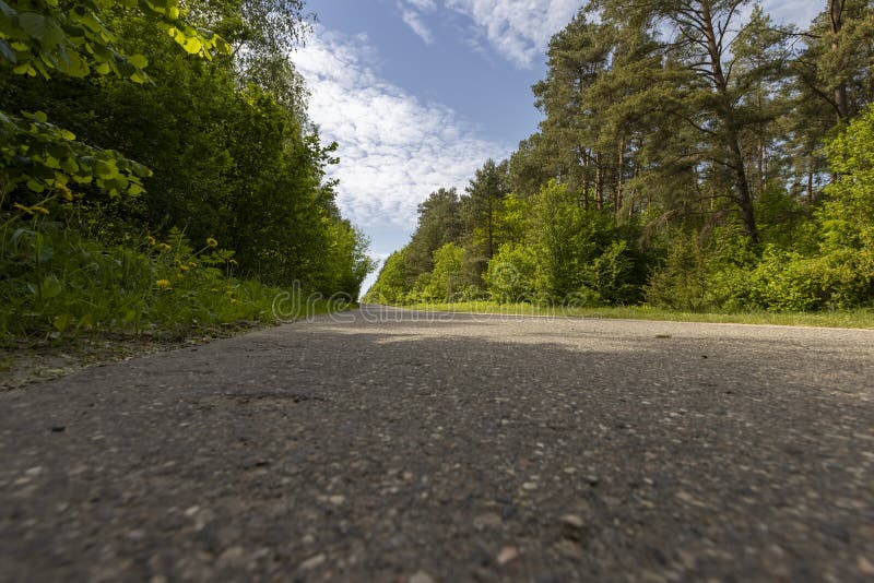 A Country Road of Good Quality in Spring in a Deciduous Forest Stock ...