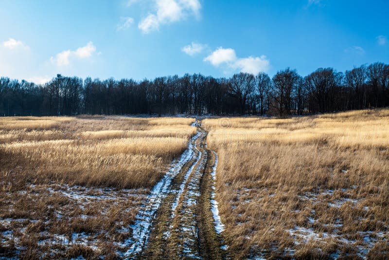 Country road stock photo. Image of background, spring - 63274796
