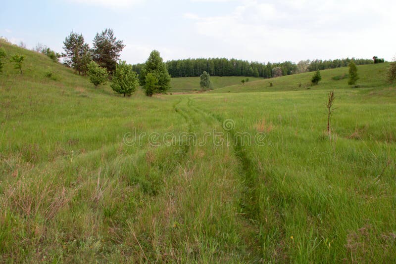 Country Road through Green Fields Stock Image - Image of outdoor, path ...