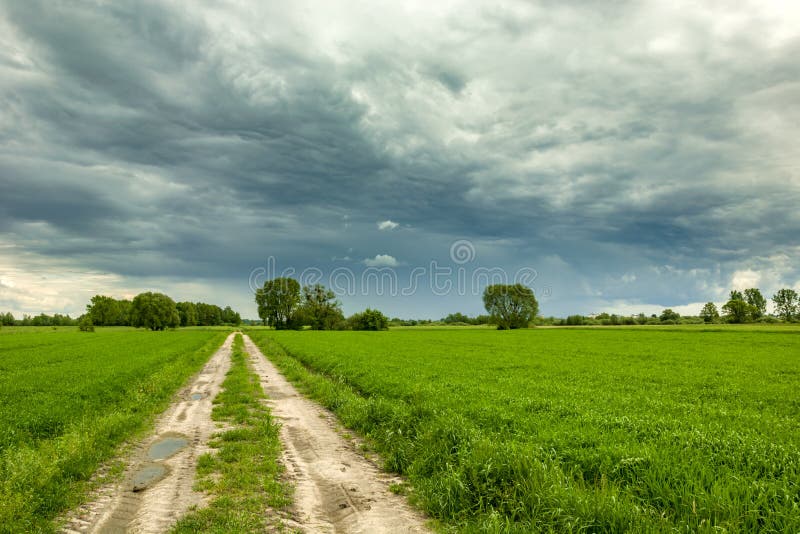 Country Road through Green Fields and Dark Clouds on the Sky Stock ...