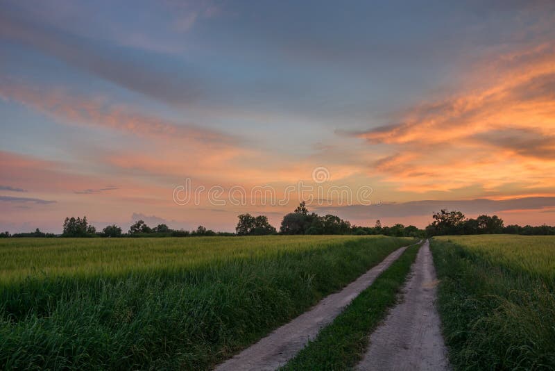 Country Road through Green Fields, Horizon and Clouds after Sunset ...