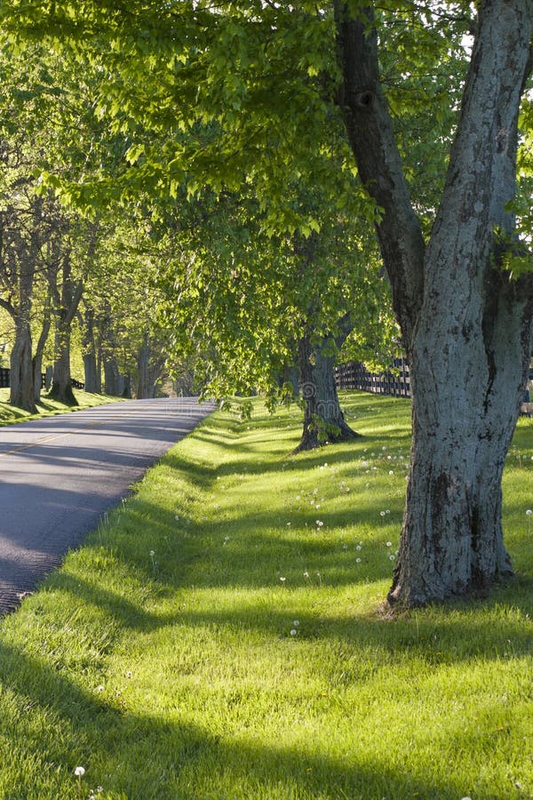 Country Road in Kentucky at Spring Stock Image - Image of land, lawn ...