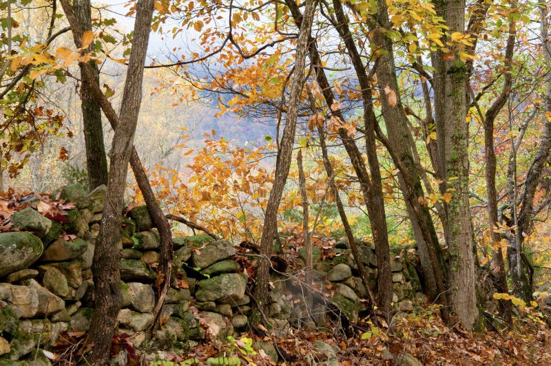 Country Road Leading beside Rock Wall in Fall. Stock Photo - Image of ...