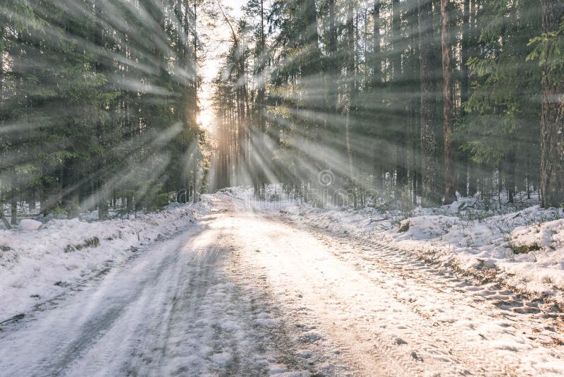 Country Road - Light Rays Effect Stock Image - Image of mist, walking ...