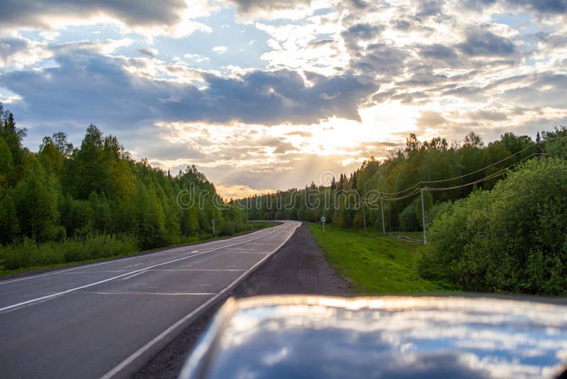 Country Road with Markings in the Middle of the Forest. Stock Image ...