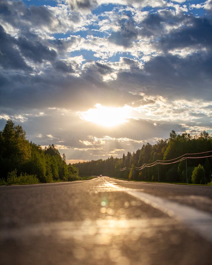 Country Road with Markings in the Middle of the Forest. Stock Image ...