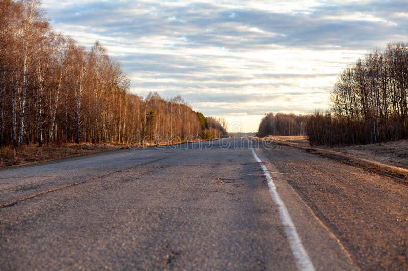 Country Road with Markings in the Middle of the Forest. Stock Image ...