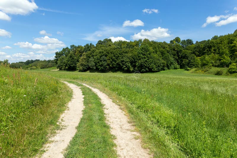 Country Road through a Meadow and Forest Stock Photo - Image of ...