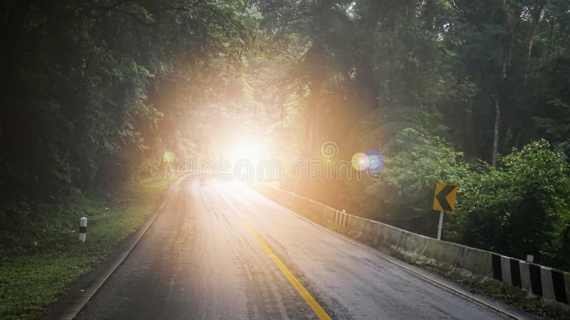 Country Road in the Morning with Stalks Stock Image - Image of sunrise ...
