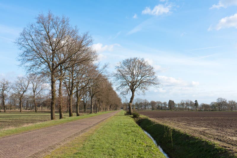 Country Road in the Netherlands with Farmland Stock Photo - Image of ...