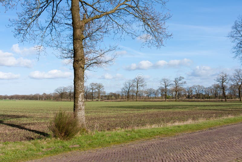 Bare Farmland Waiting For Spring Stock Image - Image of spring, harmony ...