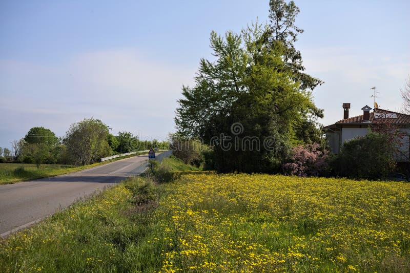 Country Road Next To Fields and Houses in Springtime Stock Image ...
