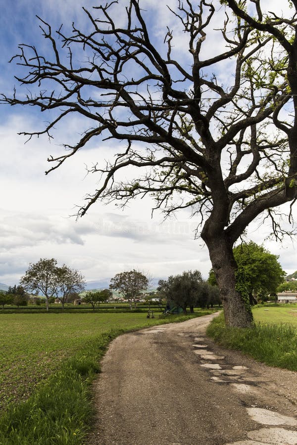 A country road stock image. Image of grass, land, route - 183749071