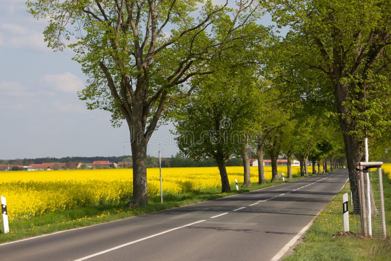 Country road and field stock image. Image of country - 40140967