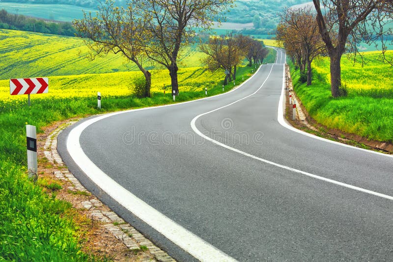 Country Road with Row of Trees Stock Image - Image of nature, spring ...