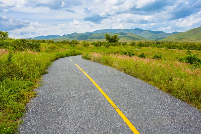Country road. stock image. Image of field, smoky, white - 43585241