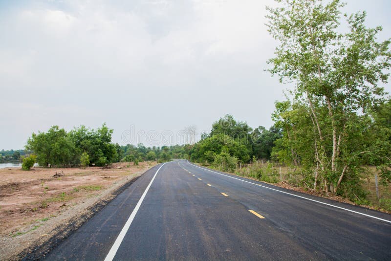 Country Road Running through Tree Alley. Stock Image - Image of nature ...