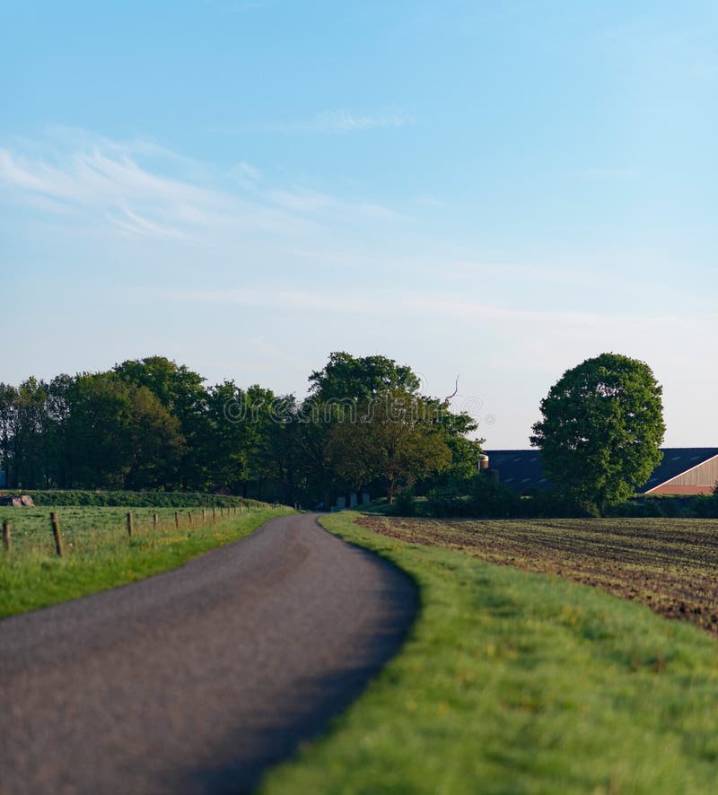 Country Road in Rural Landscape with Blue Sky. Stock Image - Image of ...