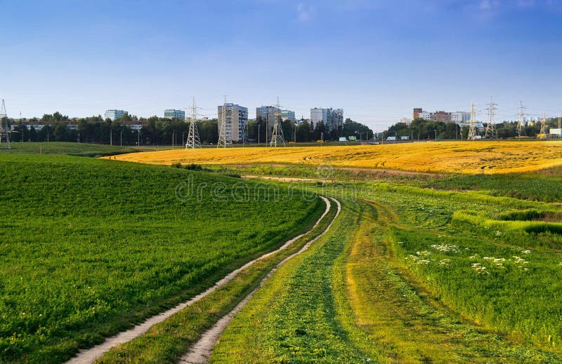 Country Road Separates Two Fields Stock Photo - Image of scenery, green ...