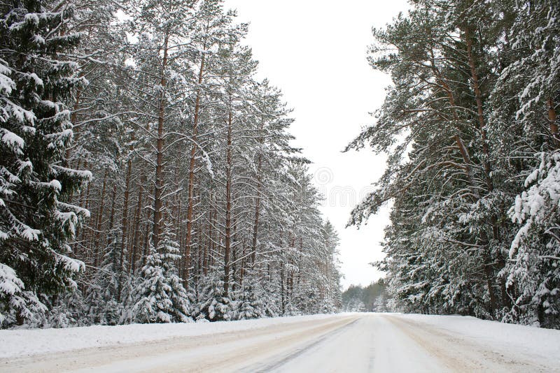 Country road in snow stock image. Image of outdoors, travel - 17347257