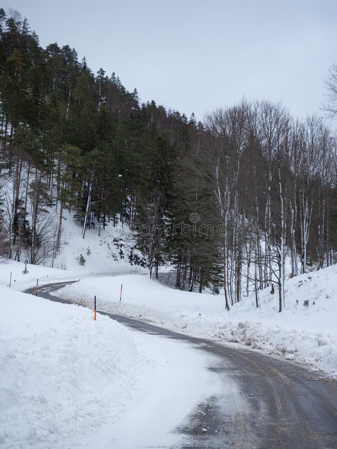 Country Road on a Snowy Winter Day Stock Image - Image of temperature ...