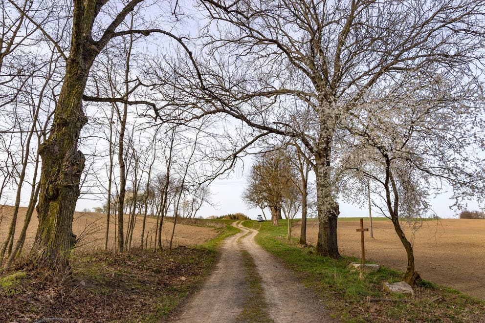 Country Road on a Spring Evening Stock Photo - Image of grass, rain ...