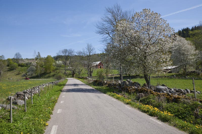 Country road at spring stock photo. Image of path, blue - 65978380