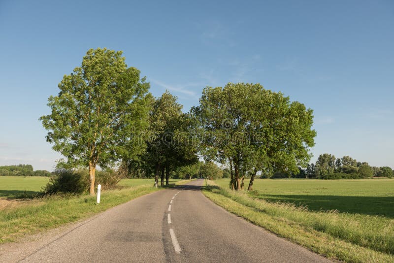 Country Road in Spring in France Stock Photo - Image of field, street ...