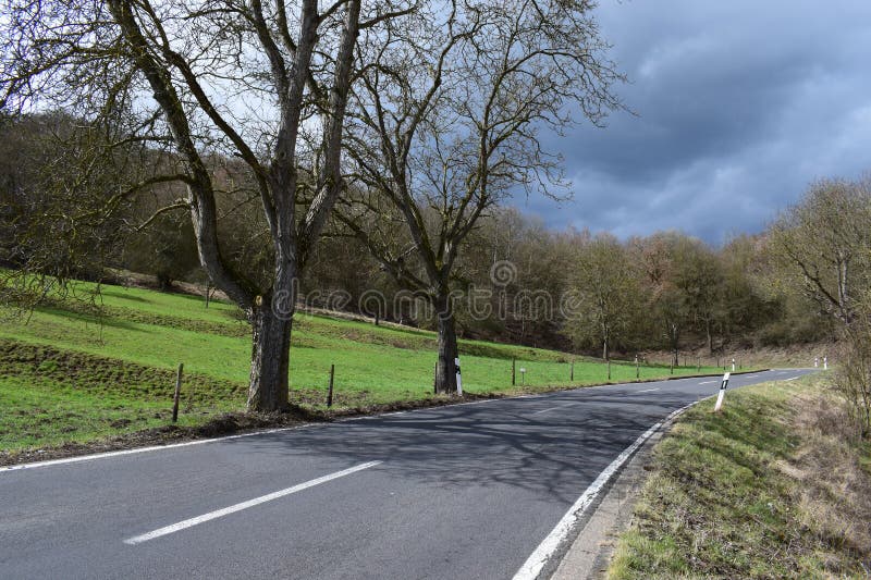 Country Road with Spring Trees Starting the First Leaves Stock Image ...