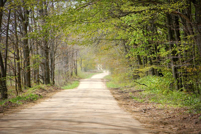 Country Road in Springtime stock image. Image of rural - 24606923