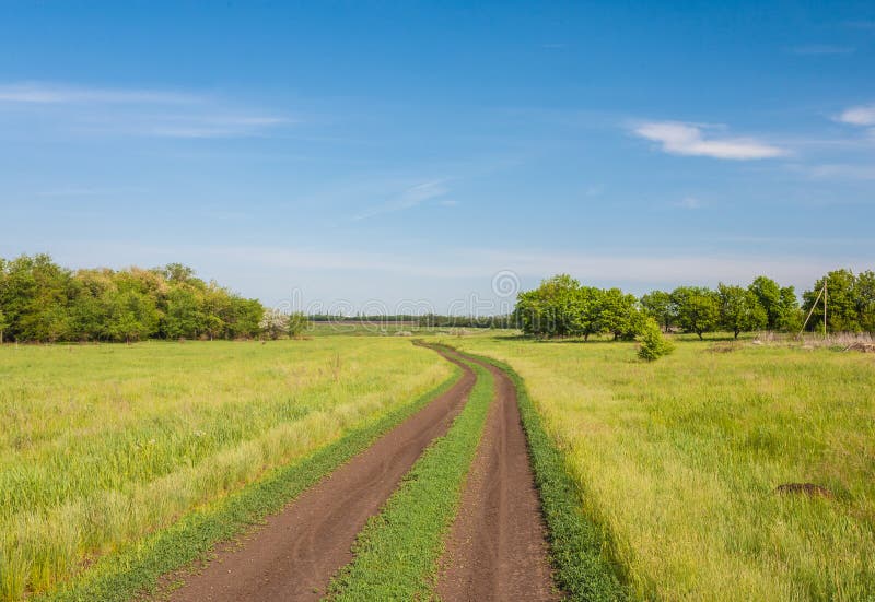 Country Road in Summer Field Stock Image - Image of blue, roadside ...