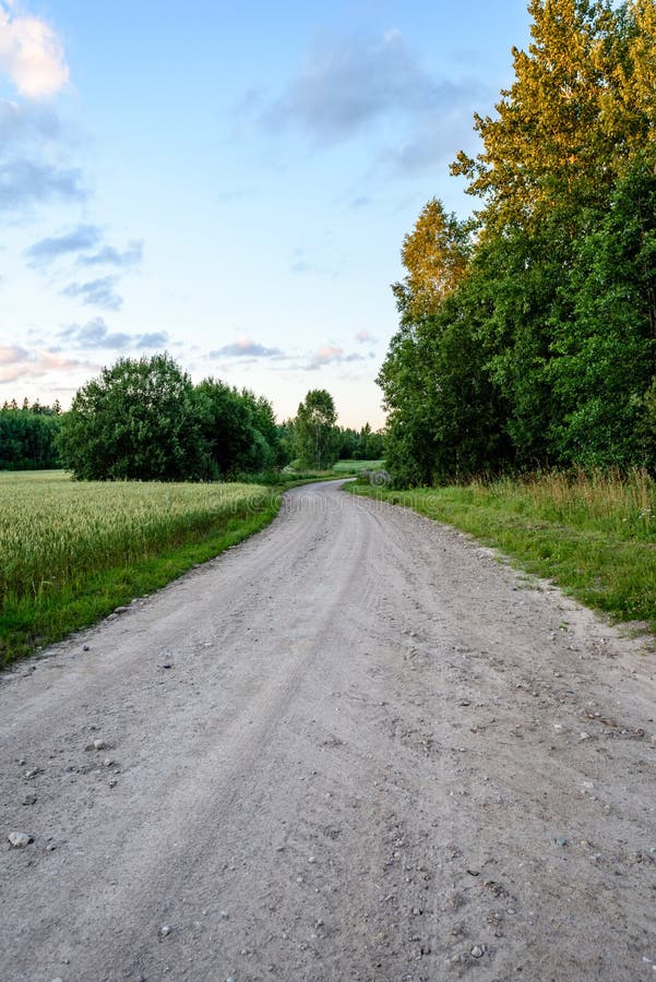 Country Road with Sun Rays in the Morning Stock Image - Image of road ...
