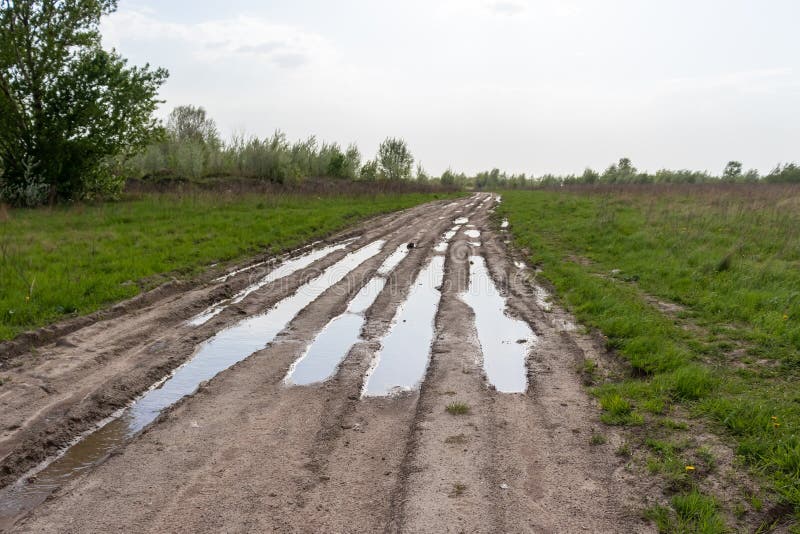 A Country Road with Tractor Ruts Stock Photo - Image of green, ground ...