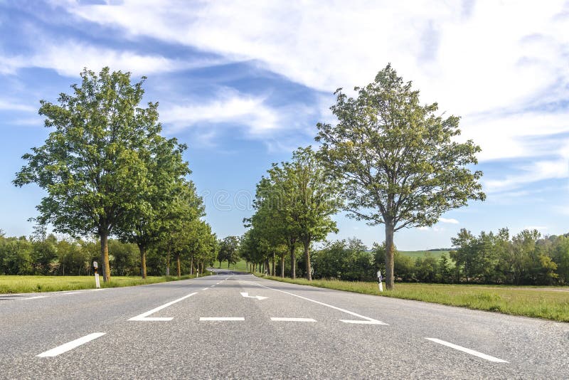 Country road with Trees stock image. Image of asphalt - 190394361