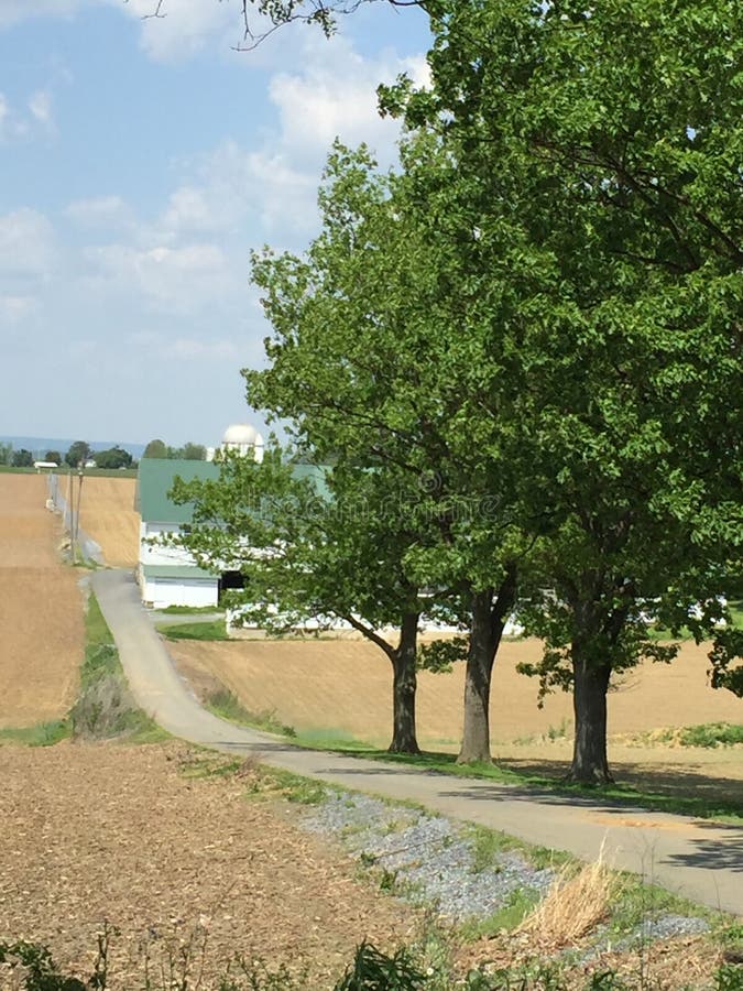 Country Road stock image. Image of trees, barn, country - 168587891