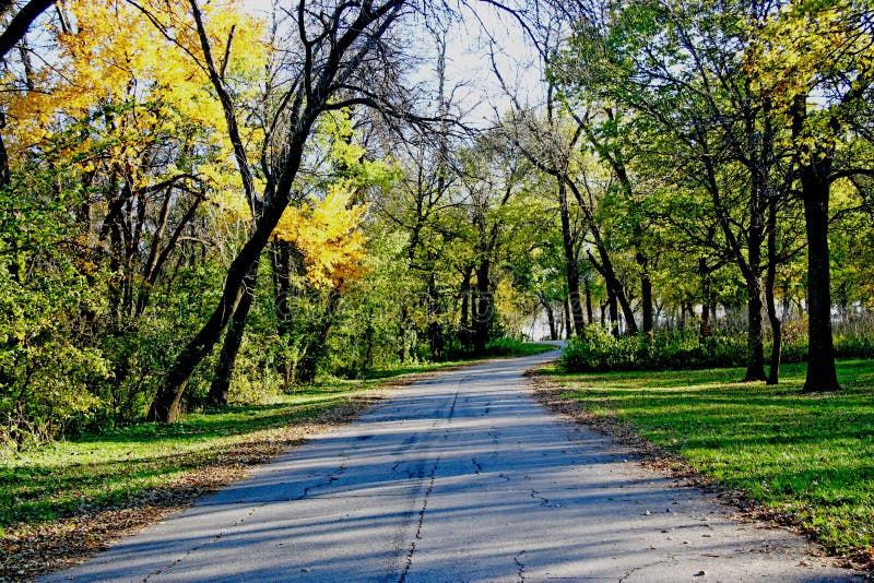 Country Road with trees stock image. Image of lining - 196904787