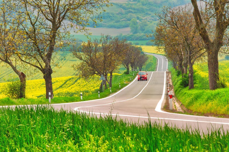 Country Road with Row of Trees and Red Car Stock Image - Image of ...