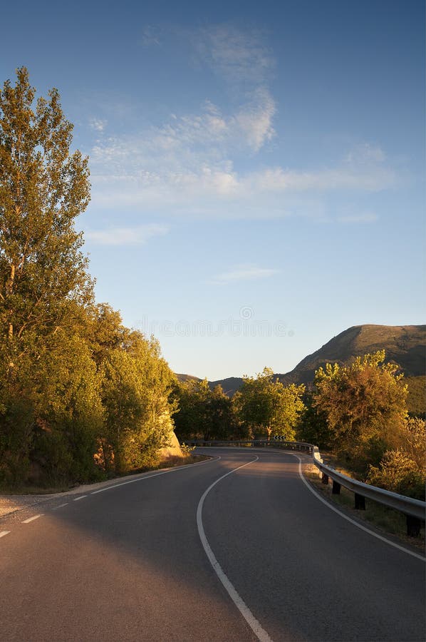 Country Road and Trees in a Sunny Day Sunset Stock Image - Image of ...