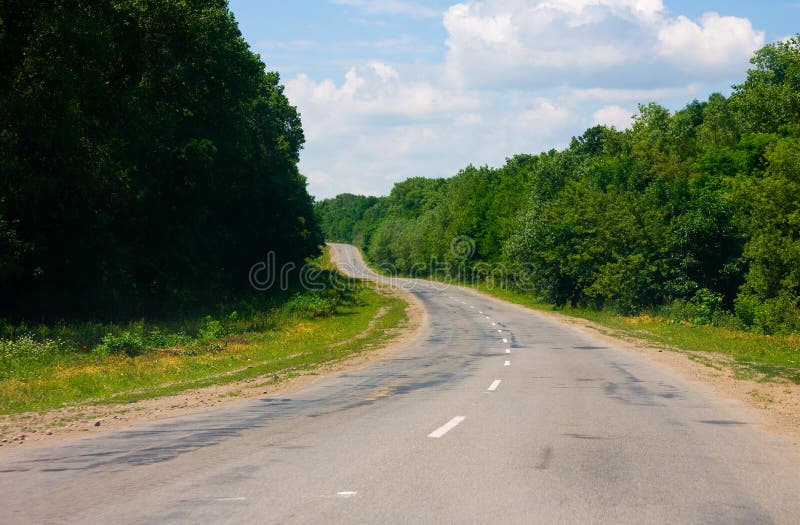 Country road in Ukraine stock photo. Image of green, grass - 7573518